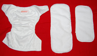 Life With My Littles: Dinkledooz Cloth Diaper review and Giveaway!!