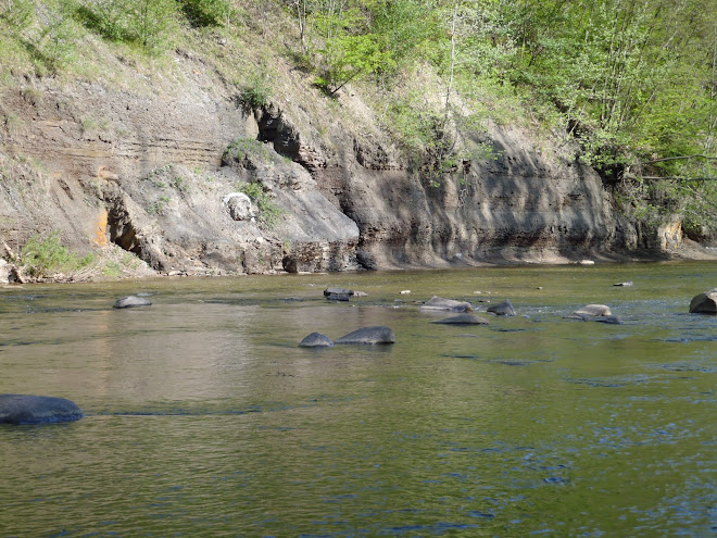 North East Ohio Fishing Survey: Day Uno. Chagrin River