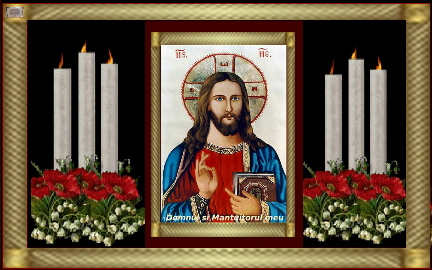 M-am uitat la tine cand te-ai trezit de dimineata.