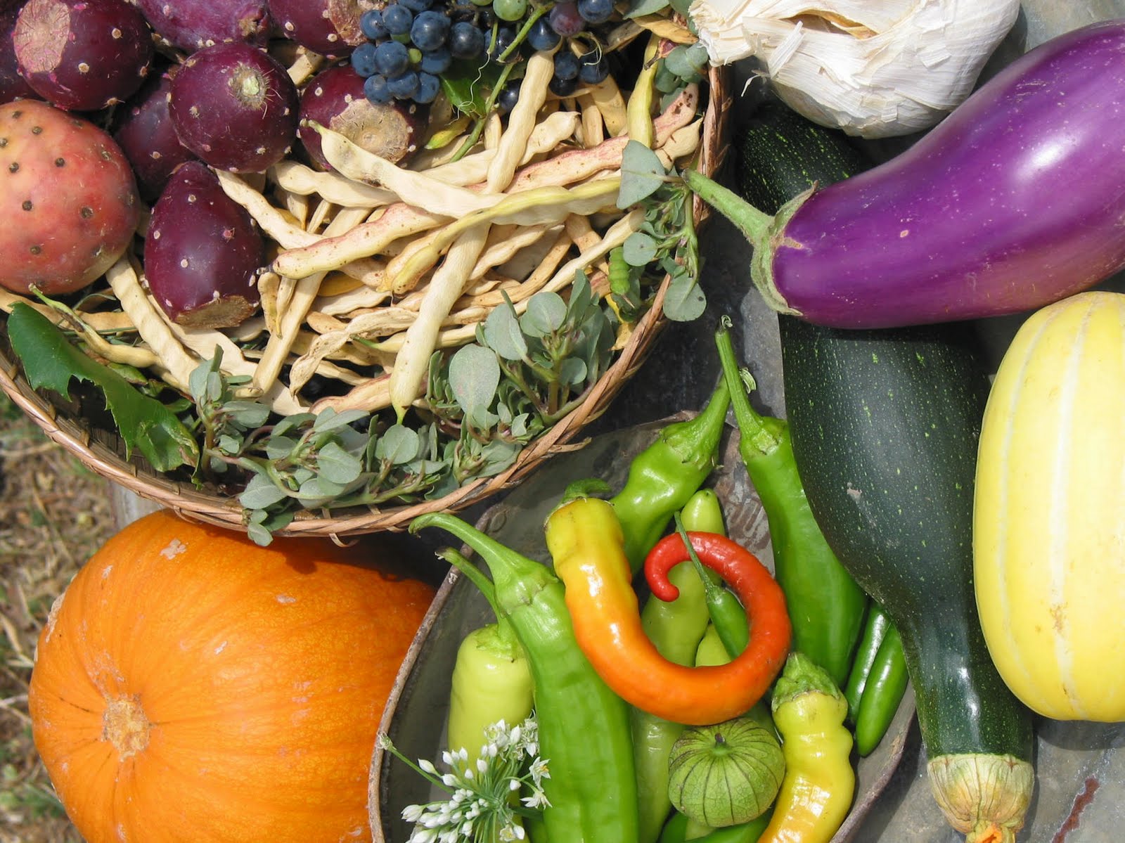 Brooklyn Locavore: Why Buy Local?