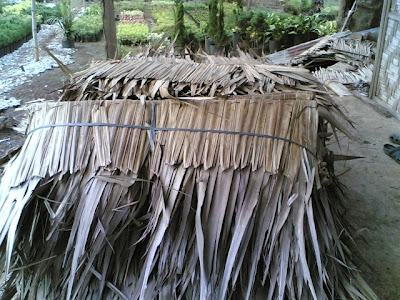 ALAVERDE 33: My new Native roof