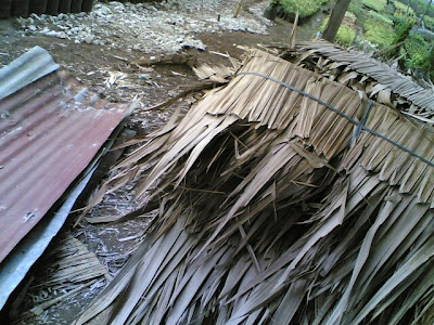 ALAVERDE 33: My new Native roof