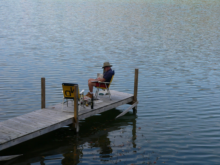 Turtle Lake Cottage - Building Our LEED/Green Home: 2011-01-02