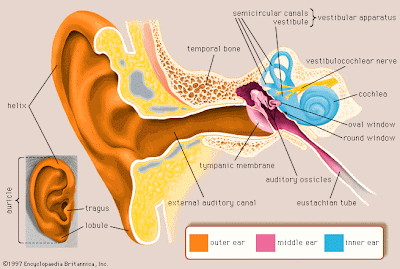 Severe Deconditioning: Labyrinthitis