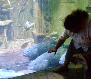 Dispatches from the Island: Atlantis = Big Fish