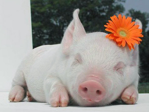 Random...: Tiredness is a skill.