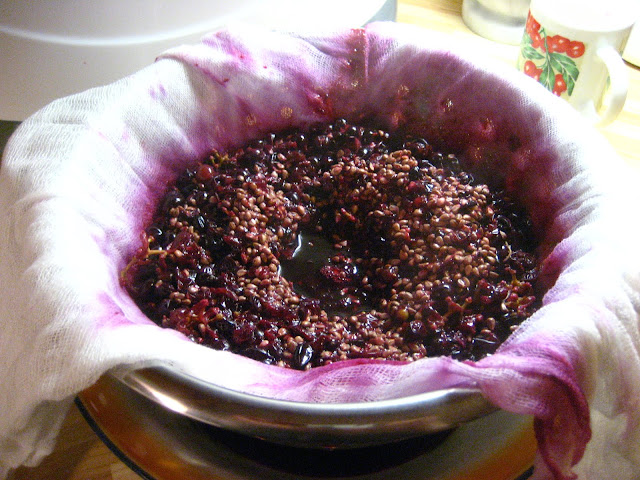 Marie est dans son assiette!: Jus de raisins bleus maison