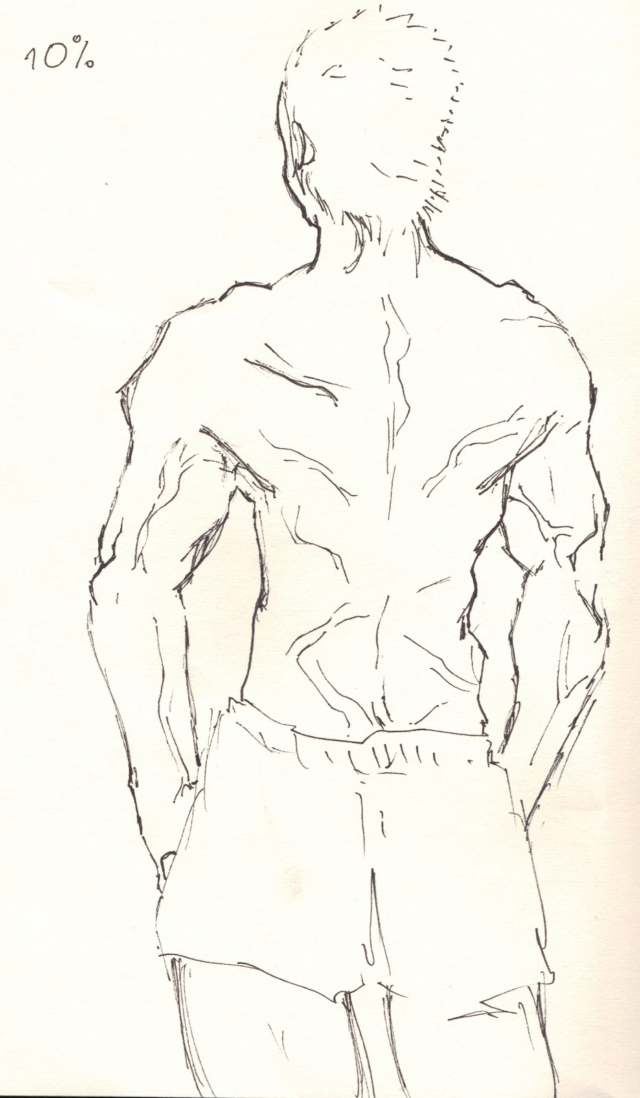 ATi's Design: Big Eared Bat transformation