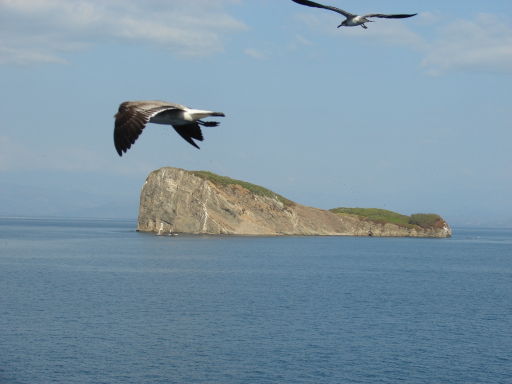 Paisajismo, pueblos y jardines: La Reserva Biológica Isla Pájaros, sus ...