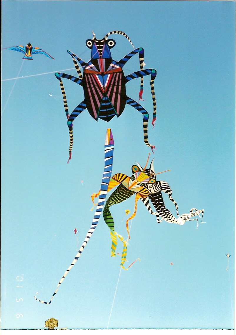 B-kites: Crissy Field San Francisco