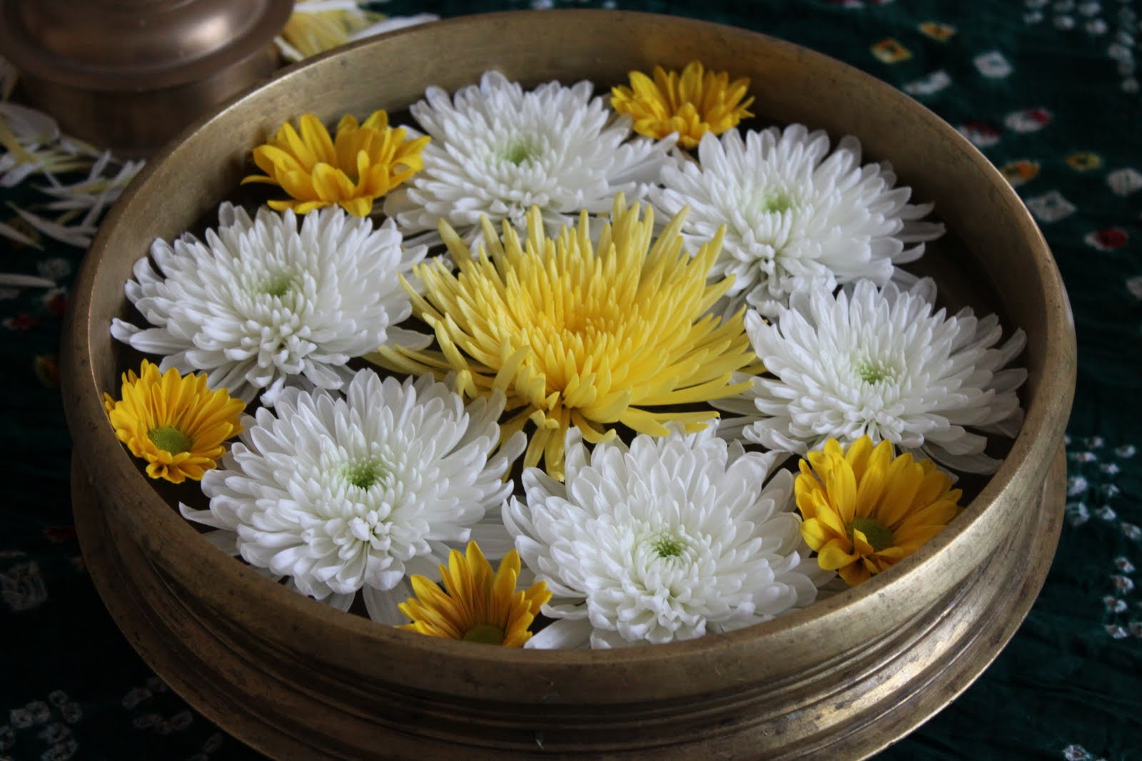 Occasionally Chic: Onam Ashamsakal