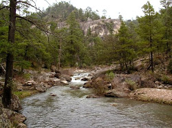 El Salto Durango: CASCADA DE MEXIQUILLO