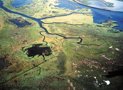 ΔΕΛΤΑ ΕΒΡΟΥ: στη γη της ουτοπίας...: Επερώτηση γιά τον Έβρο, από ...