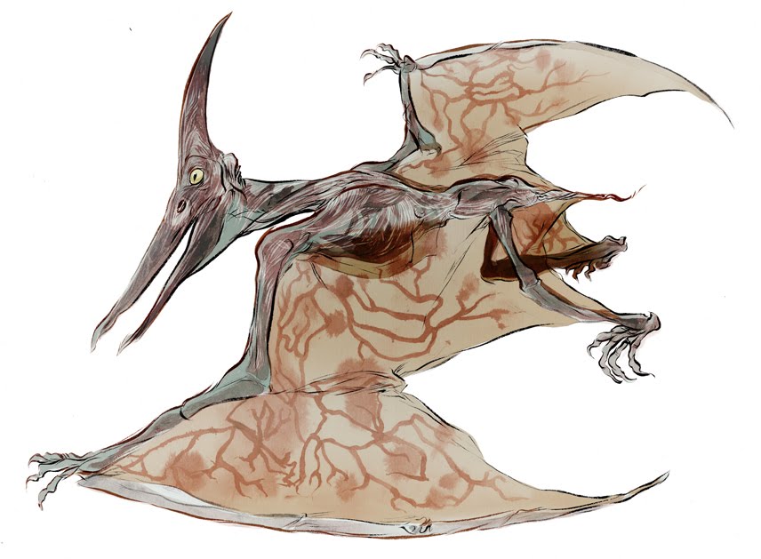 Derrick Likes To Draw...: Ptera