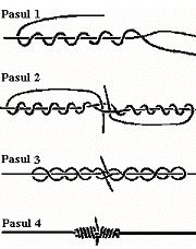 Pescuit Amator si Noduri Pescaresti 1. ~ Pescuit sportiv, pescuit amator