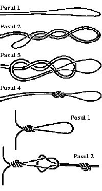 Pescuit Amator si Noduri Pescaresti 1. ~ Pescuit sportiv, pescuit amator