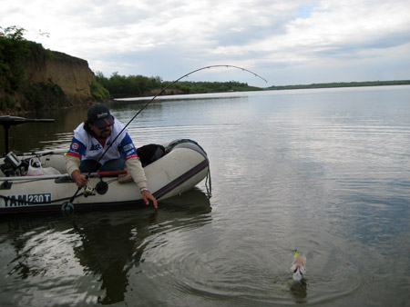 Pescuit Amator si Lansete de spinning . ~ Pescuit sportiv, pescuit amator