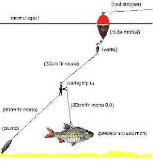 Pescuit Amator la salau pe Prut ~ Pescuit sportiv, pescuit amator
