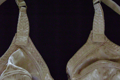 Take time to smell the rose: How to convert a regular bra into a ...