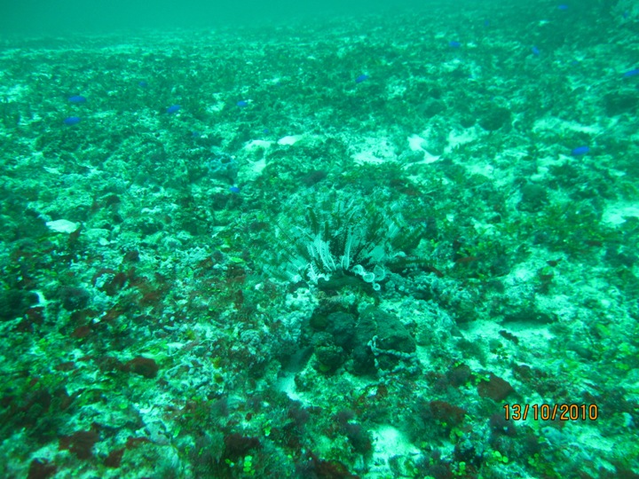 Cybercaptain: Diving Angria Bank