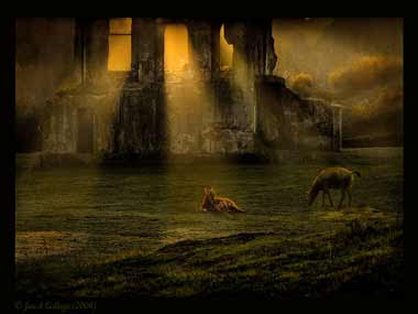 Secret Vision Box: Jose A Gallego - Wildlife