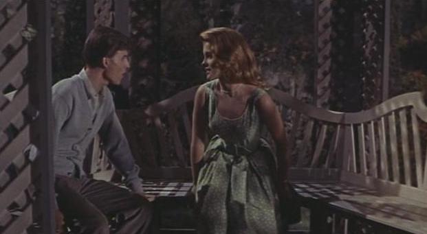 LET'S SEE...: bye bye birdie