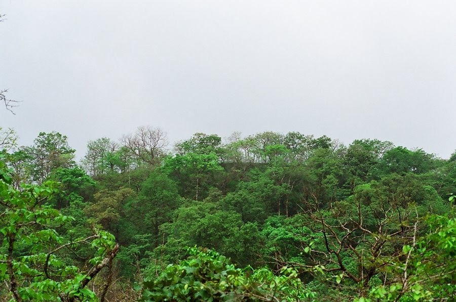 Yeoor Hills - A Monsoon Trails Report