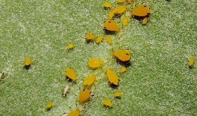 Karjat - An Excursion