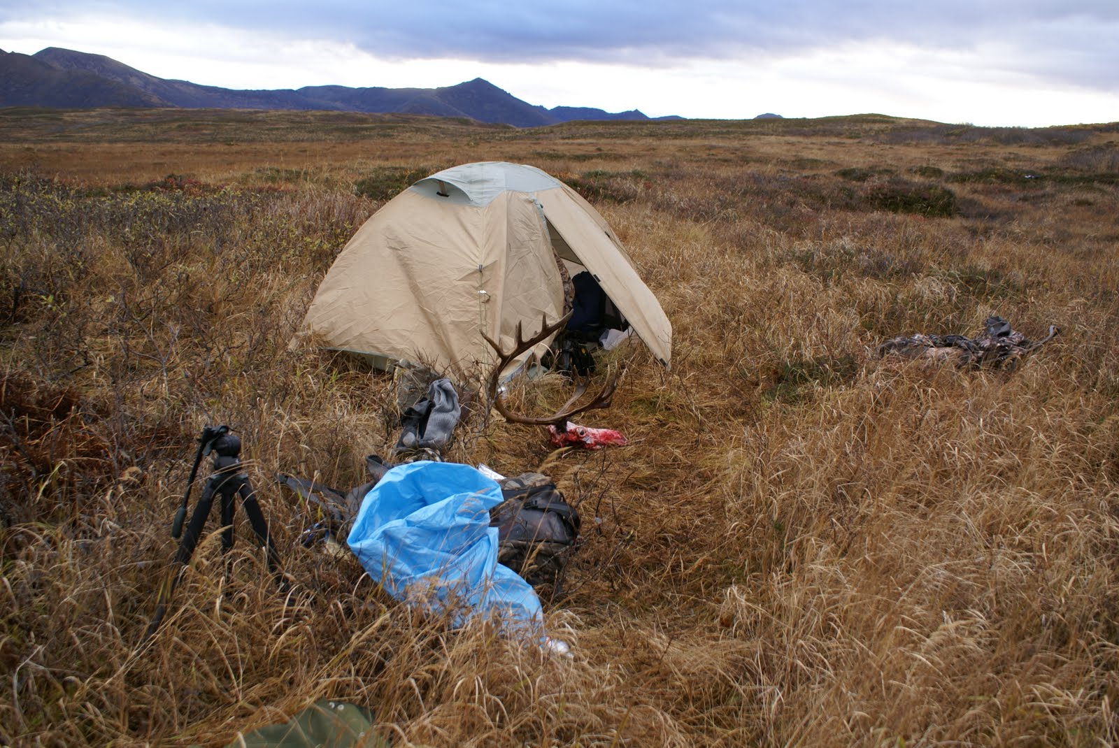 One-Eyed Hillbilly Outdoors: Caribou Hunting the Kodiak Tundra