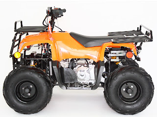 Mini ATVs vs Mini ATVs: Mini Hummer ATV 110cc vs Mini Beast Quad 110cc ...