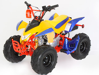 Mini ATVs vs Mini ATVs: Mini Hummer ATV 110cc vs Mini Beast Quad 110cc ...
