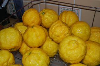 Ninja & Kong Devour the World: Lump and Bump Lemons