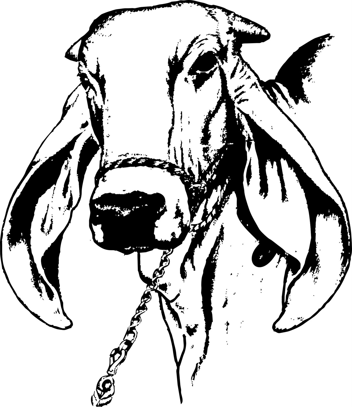 GALERIA DEL AGRO - SANTA CLARA: GALERÍA 08