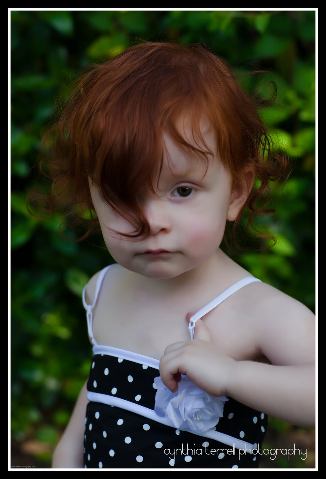 Cynthia Terrell Photography: Mini Models