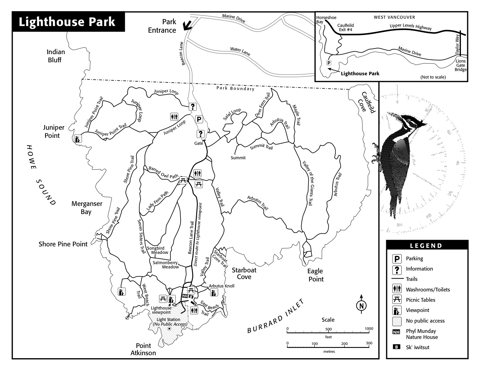 AWESOME BLOSSOM: Lighthouse Park...