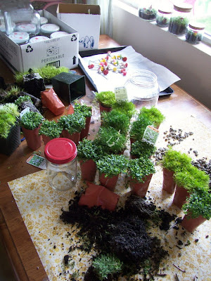 WhiMSy love: Terrific Terrariums!!