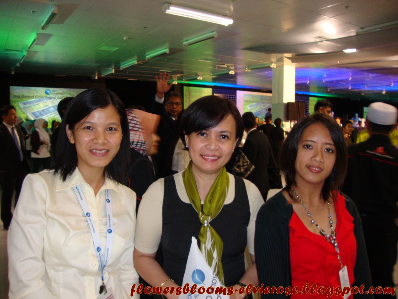 FLOWERSBLOOMS by "Elvie": AUO SunPower Grand Opening (Fab 3), December ...