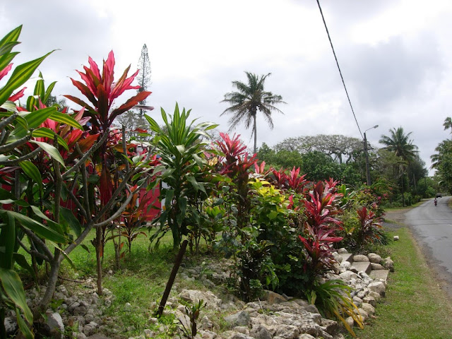 Blogtrotter: RAROTONGA - COOK ISLANDS
