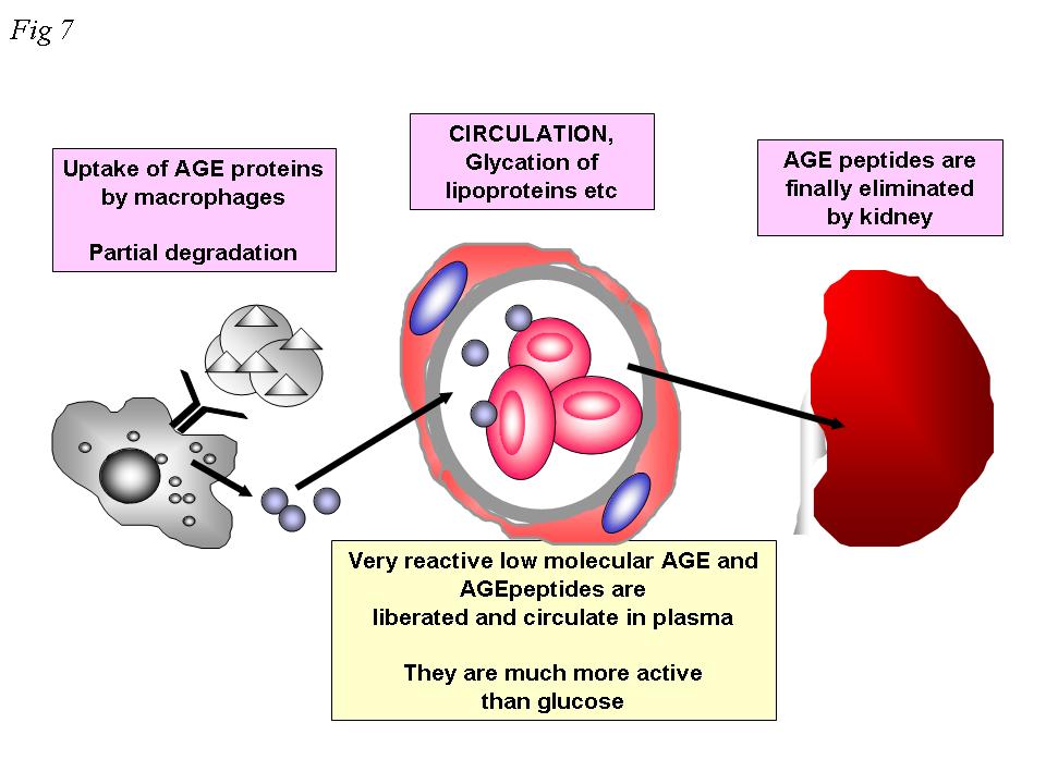 Articles: GSM Health Report: Preventing Diabetes - A detailed analysis!