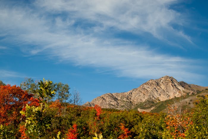 Utah Fall Color Watch: Ogden Valley Fall Color Photography Workshop ...