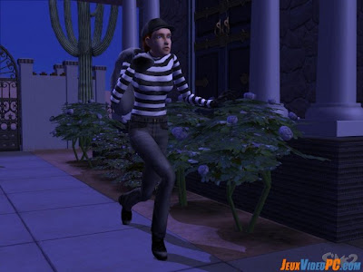 les sims: le voleur