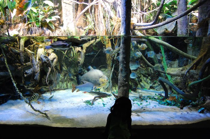 my blacks don't match: September 2010