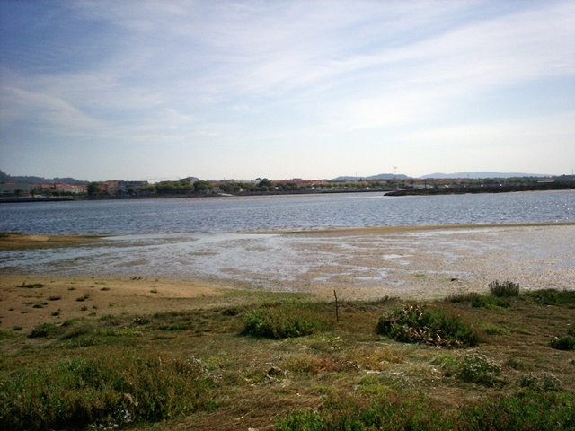 O Estuário do Rio Cávado | Paisagens de Portugal