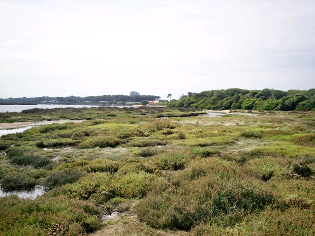 O Estuário do Rio Cávado | Paisagens de Portugal