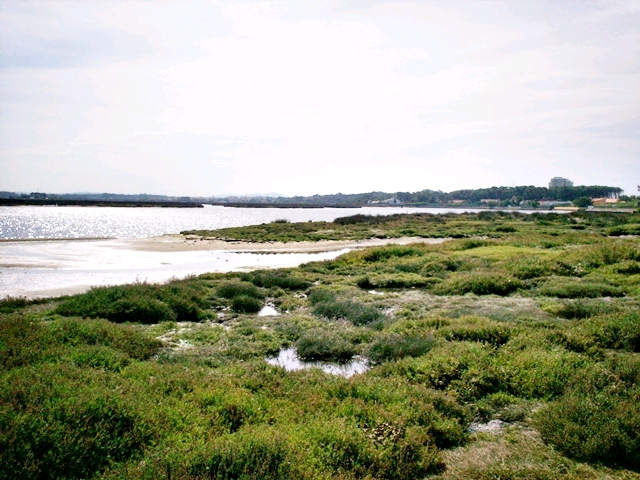 O Estuário do Rio Cávado | Paisagens de Portugal