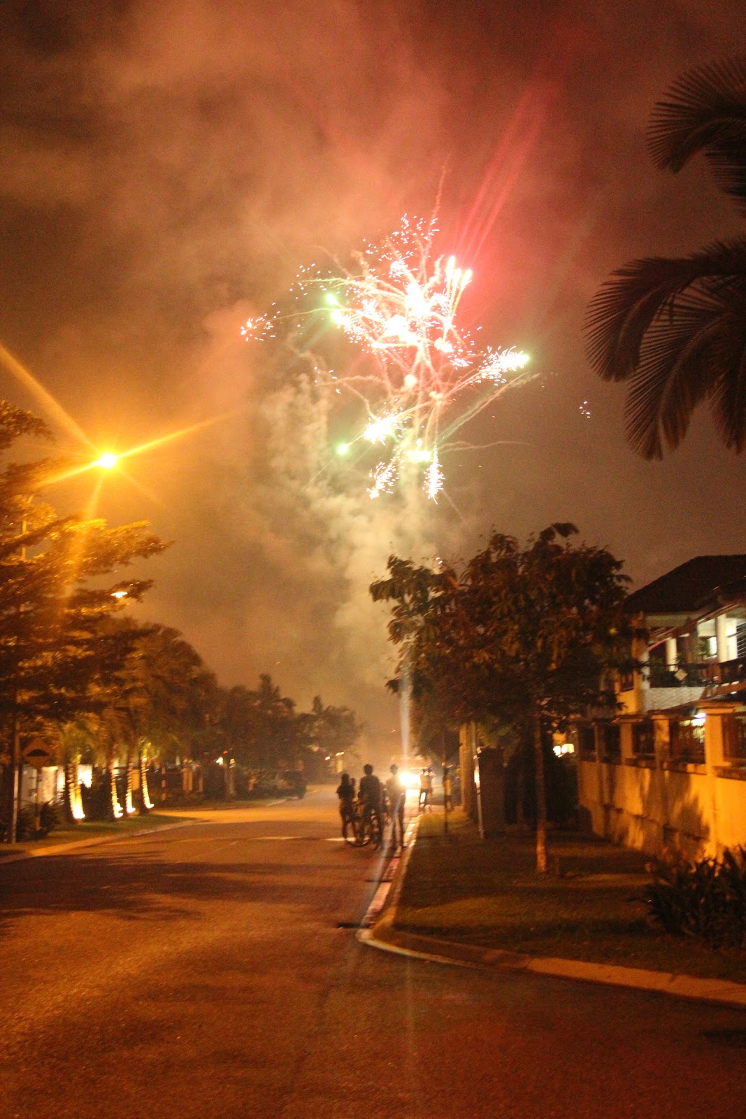 BUNGA API DAN AYAM DENDENG - masam manis