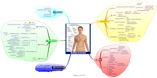 Mind Map of Multiple Sclerosis