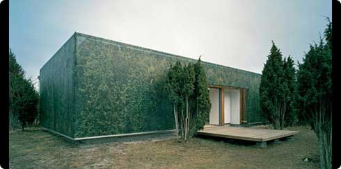 myxHOUSE: The Camouflage House