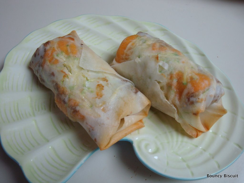 Home Cooking Experiment: Baking spring rolls