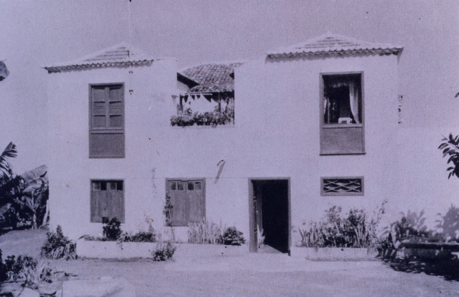 PROYECTO GRAN SIMIO (GAP/PGS ESPAÑA) PRENSA: PROYECTO GRAN SIMIO APOYA ...